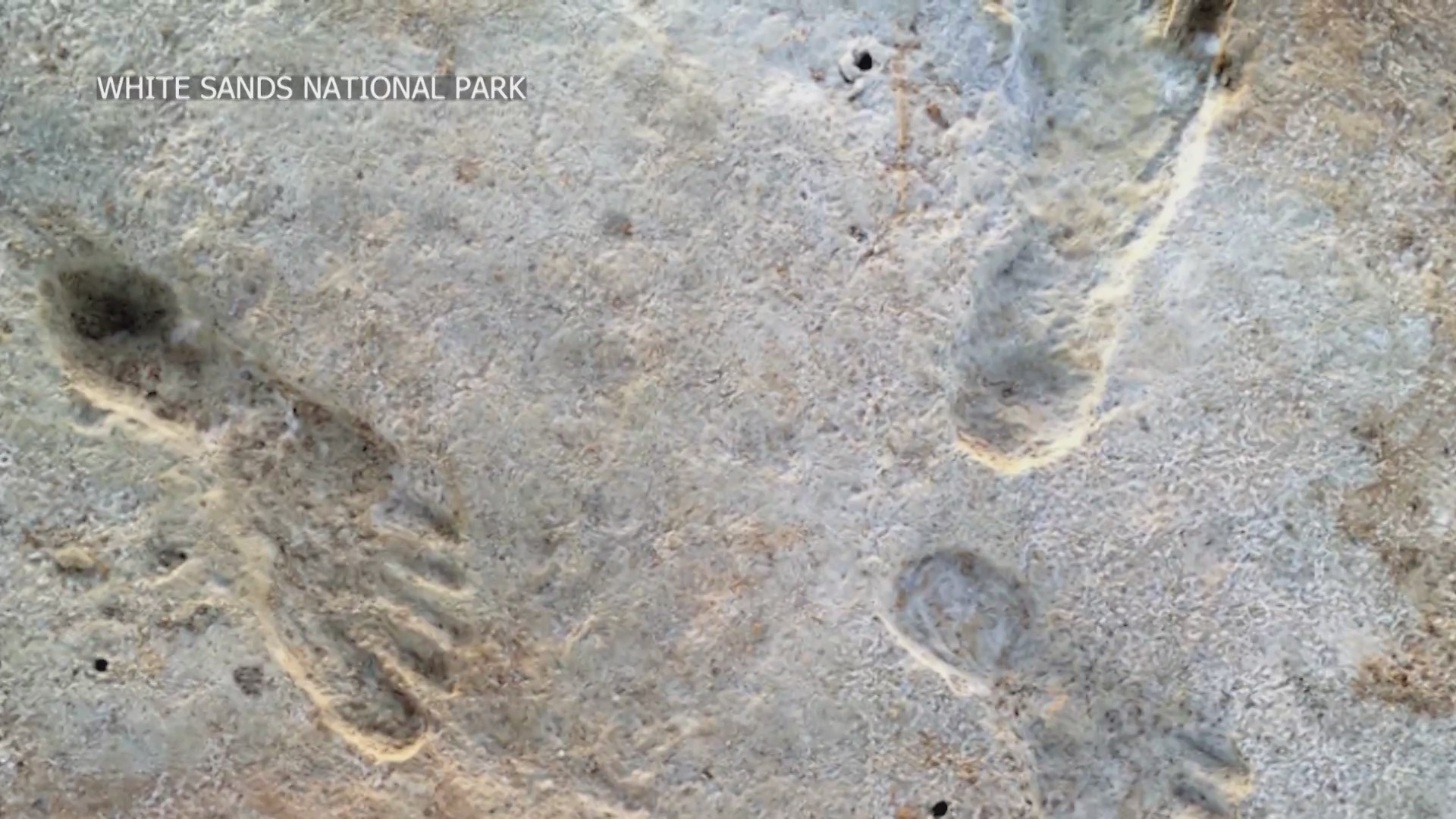Recent study supports dates of early human footprints at White Sands ...