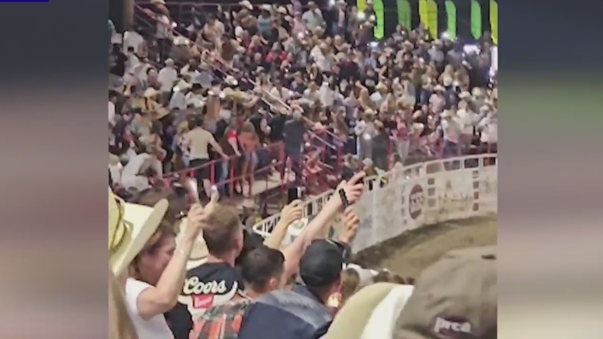 Party Bus, the jumping bull at Sisters Rodeo, pulled from competition ...