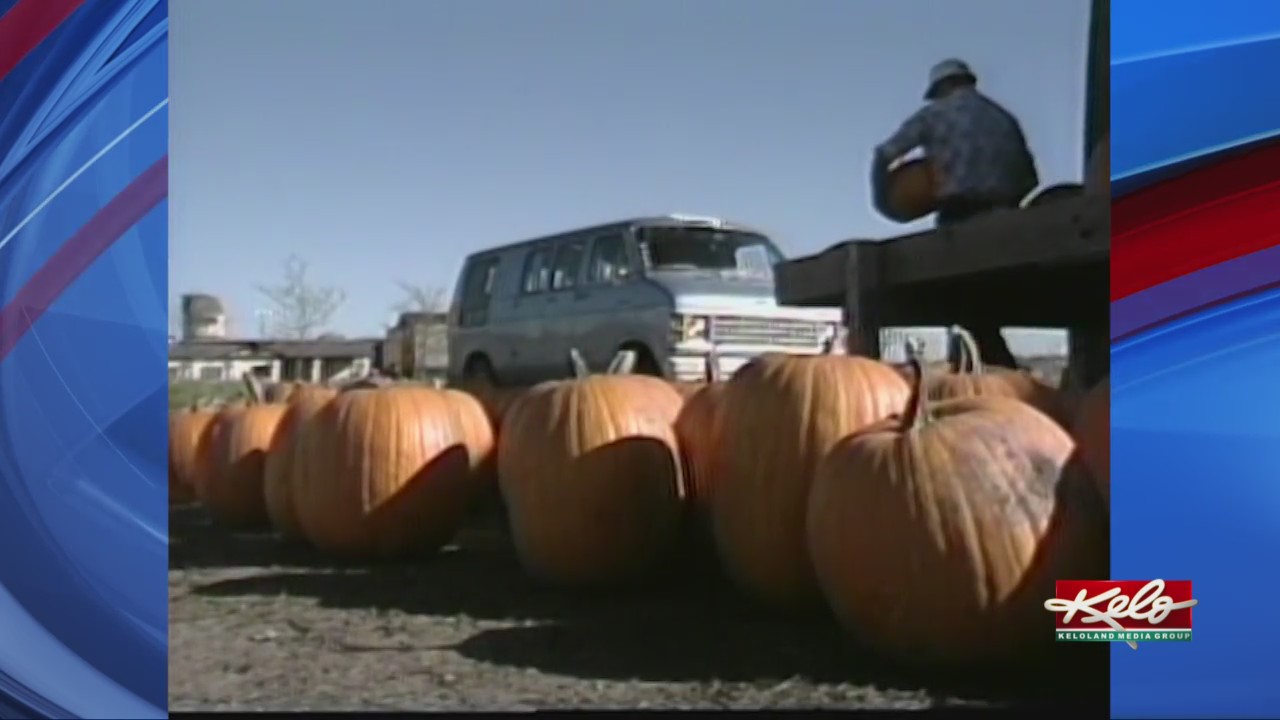 Flashback Friday: A Darn Gourd Time – KELOLAND.com