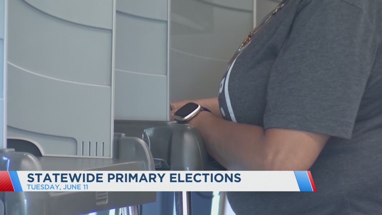 Who’s running and how to vote in Tuesday’s primary election – WBTW