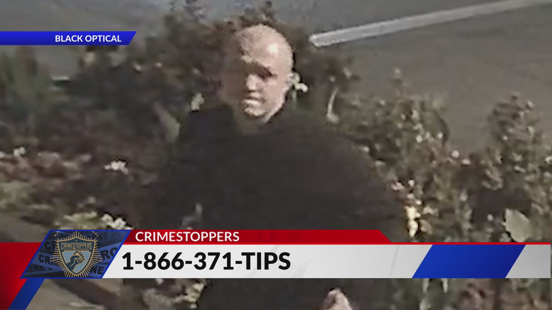 Video shows man throwing rocks into CWE business – FOX 2