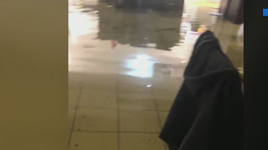Apollo Beach resident worries about mold after flood waters, fish enter ...
