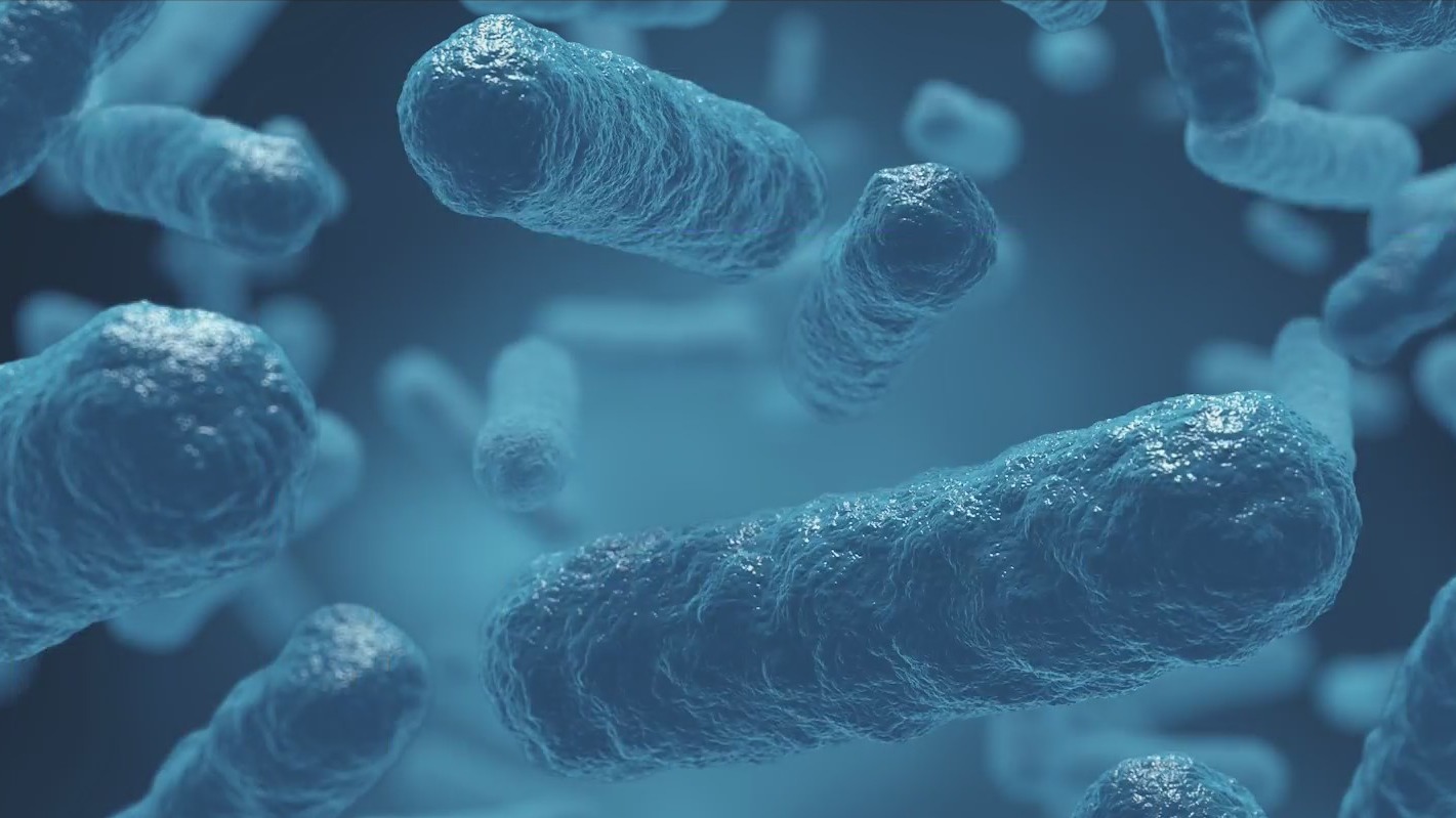 Tuberculosis case confirmed at Portland middle school, health officials say – KOIN.com