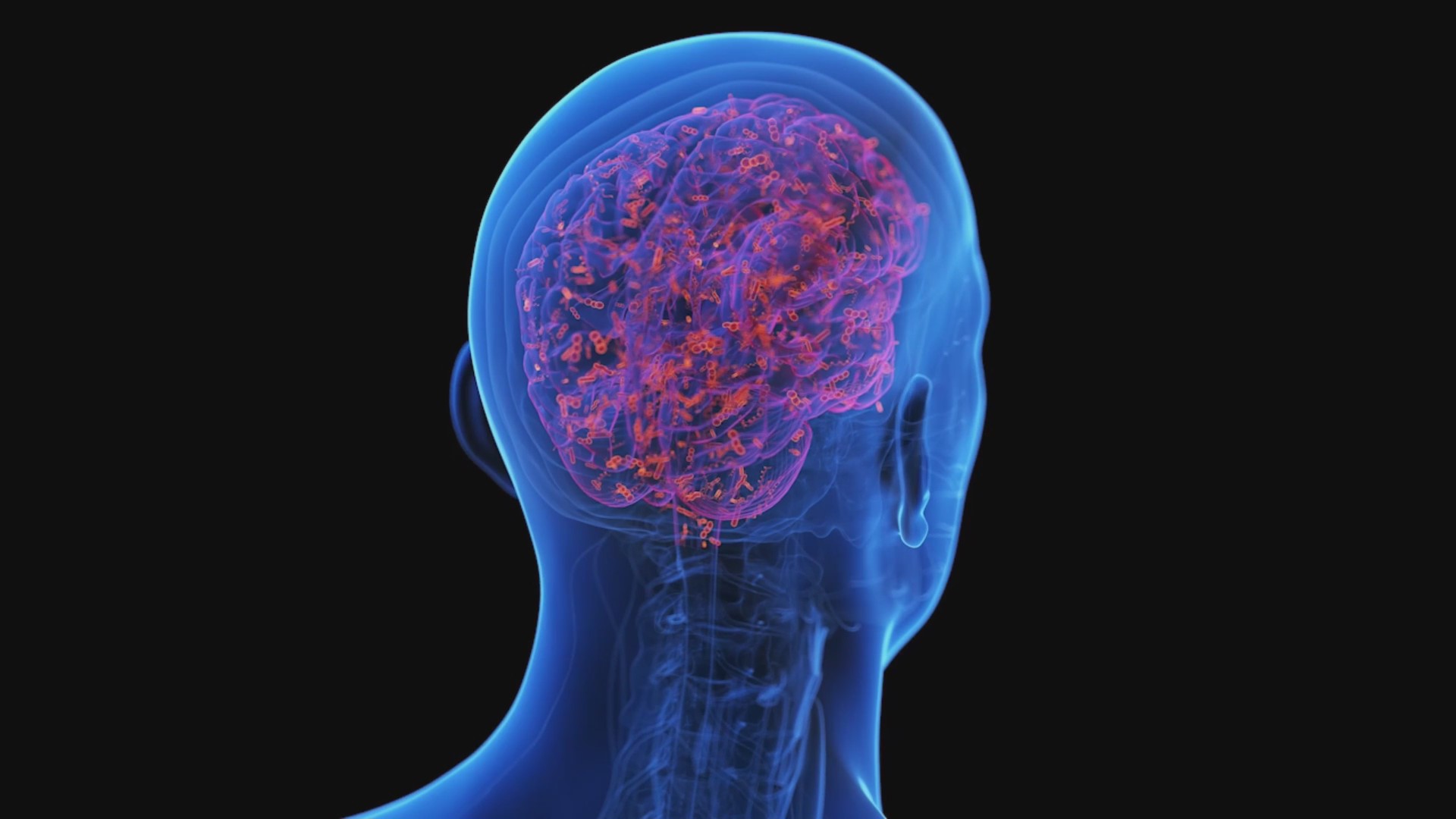 Recognizing and Reacting to Stroke Signs: What You Need to Know – KHON2