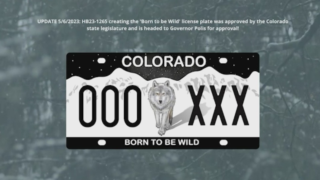 ‘Born to be Wild’ Colorado license plates raise $300K – FOX31 Denver