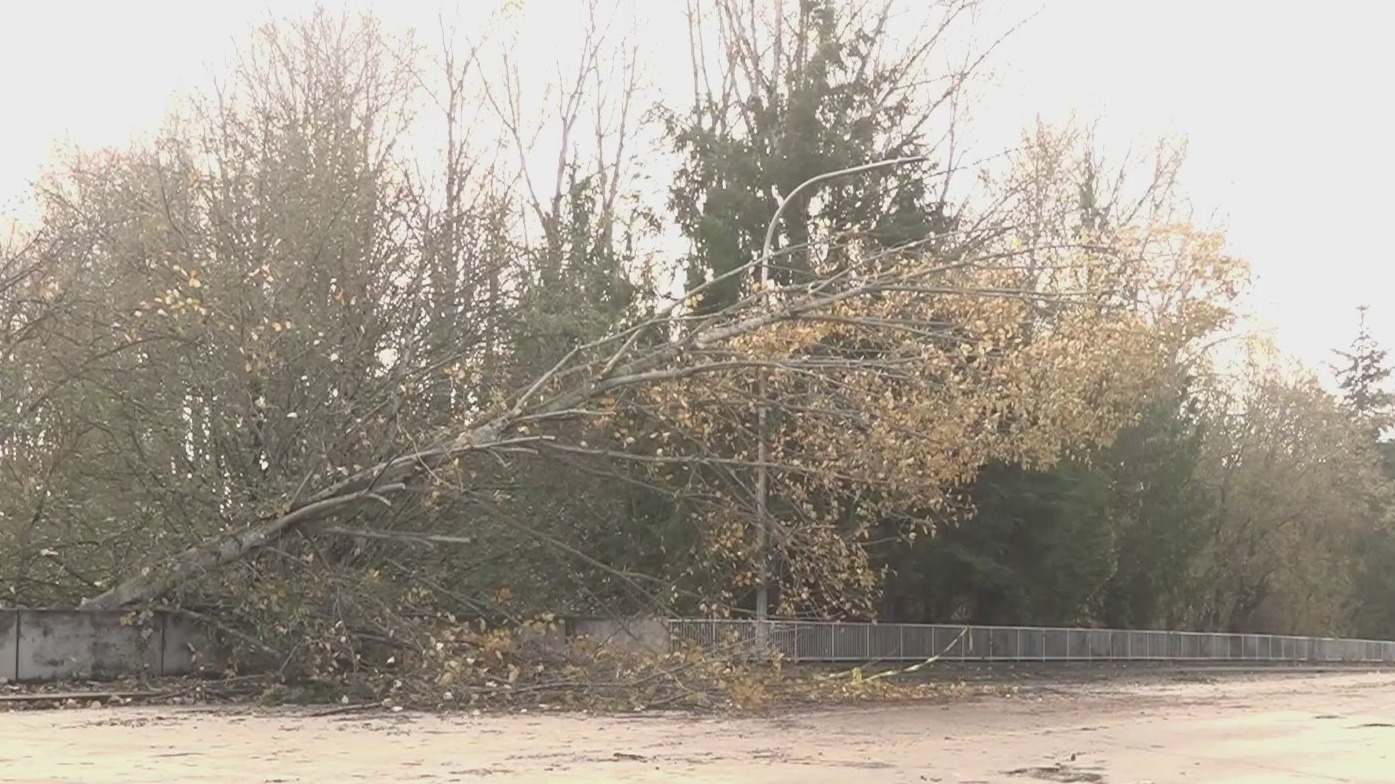 Bomb cyclone kills at least 2 people in Washington – KOIN.com