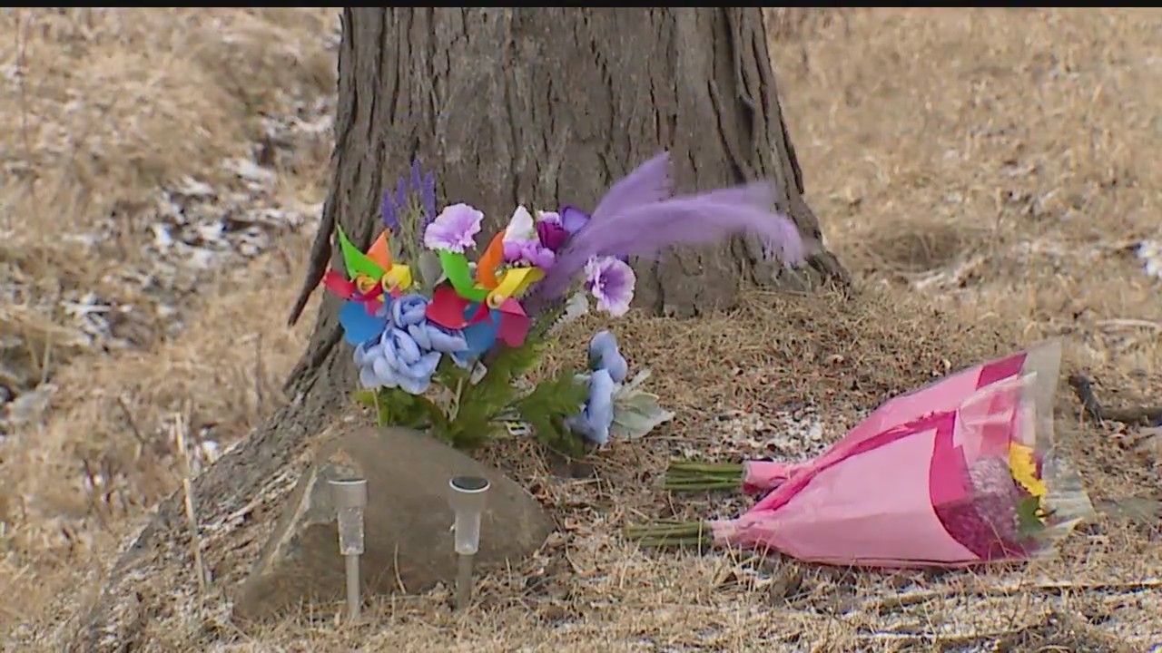 Local schools wearing blue to support Springfield family affected by ...