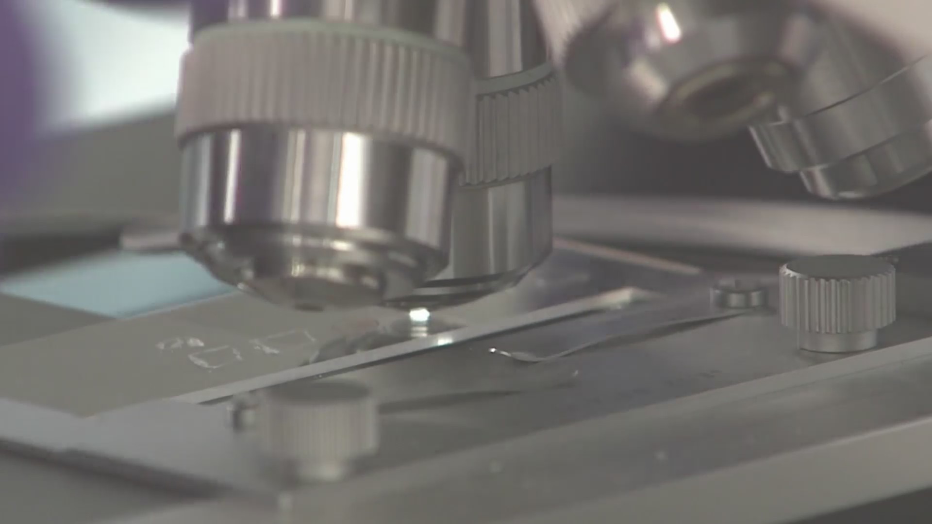 Former CBI forensic scientist, Yvonne ‘Missy’ Woods, facing 102 felony ...