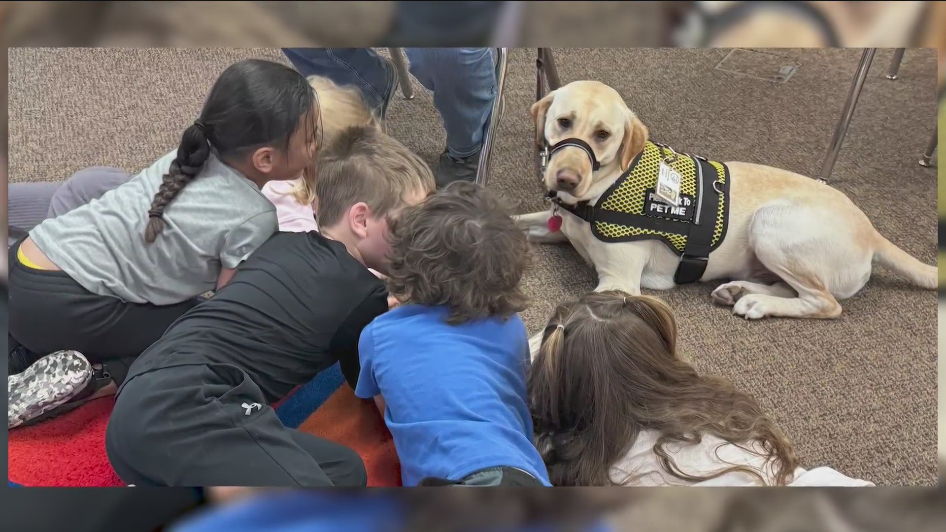 Therapy dog to join Oskaloosa Elementary School – who13.com