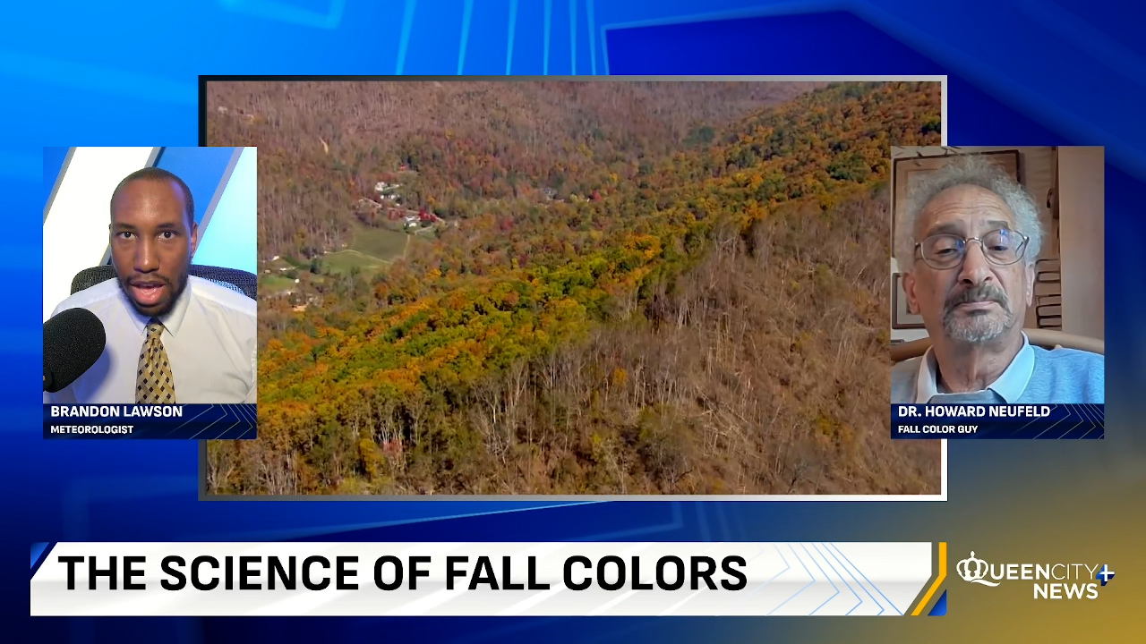 How Hurricane Helene Will Affect Fall Foliage, Best Time To See Fall ...