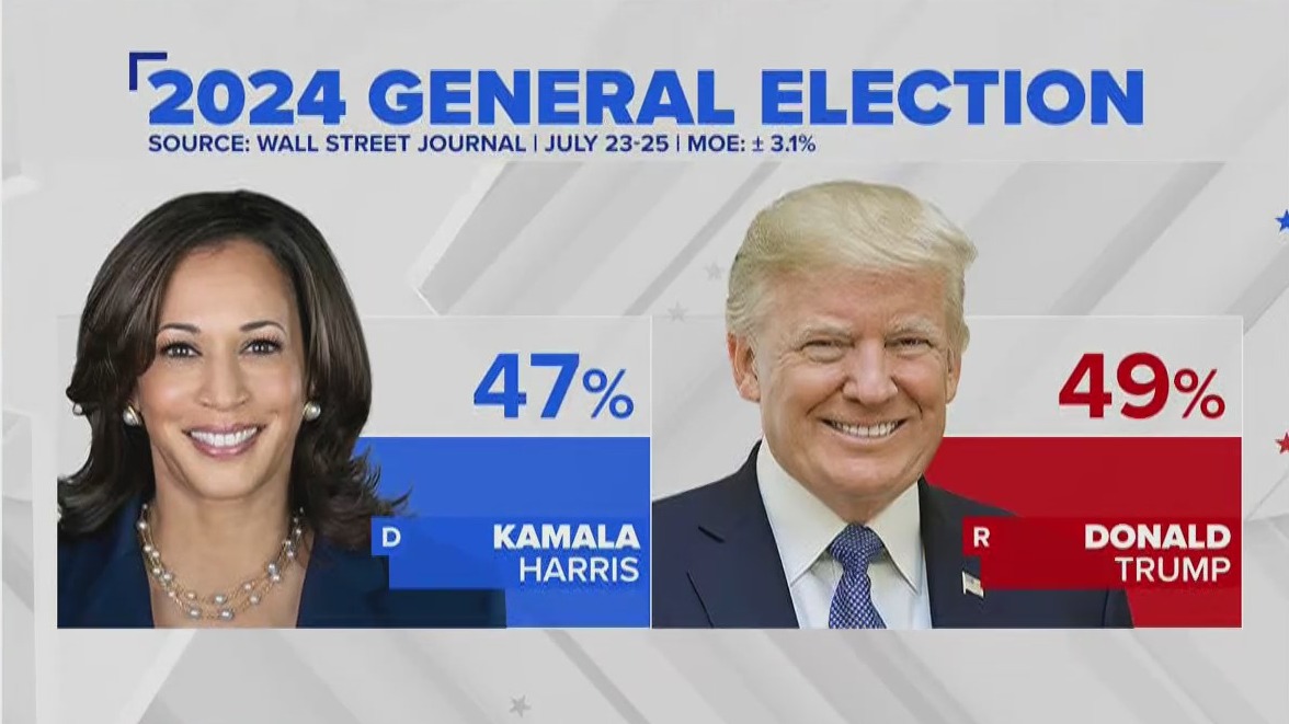Is Kamala Harris maintaining polling momentum? | Dan Abrams Live ...