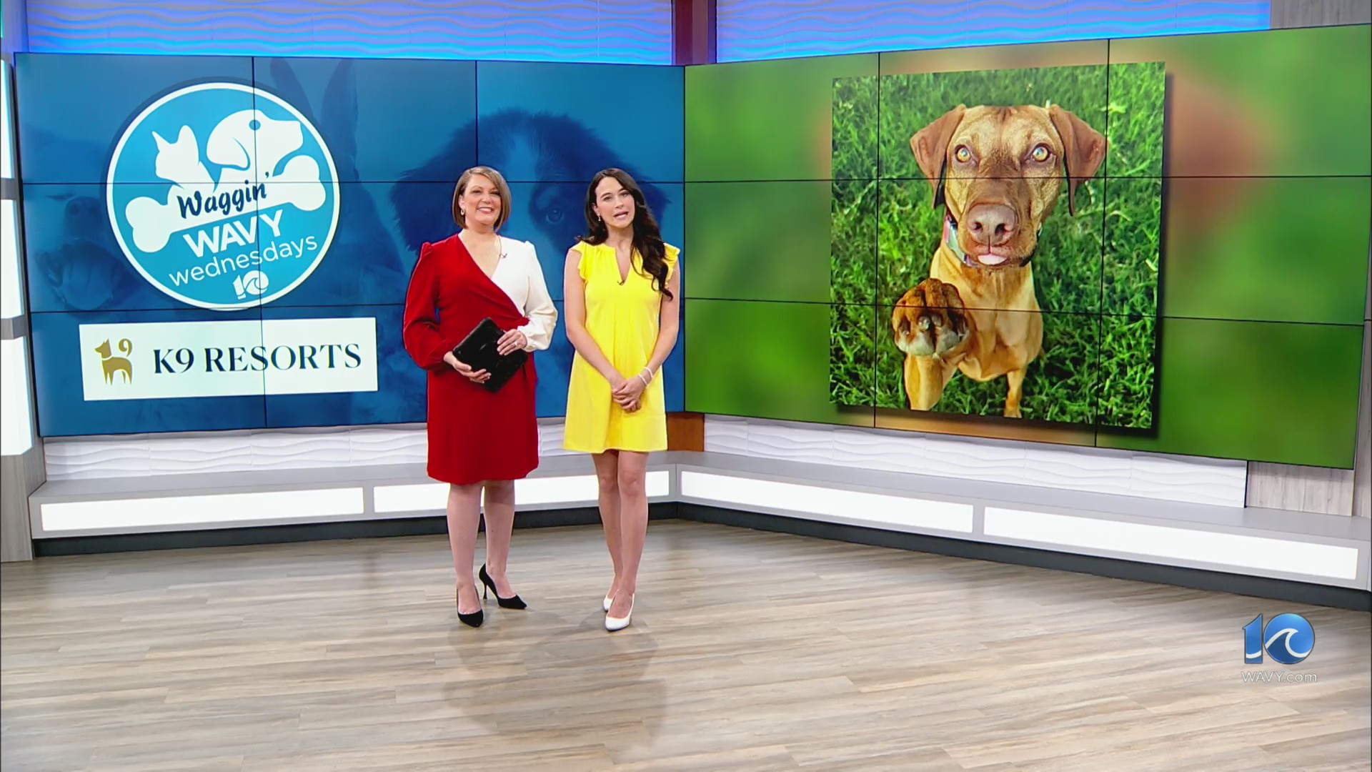 Waggin WAVY Wednesday contest winner | Week of May 26-June 1 – WAVY.com