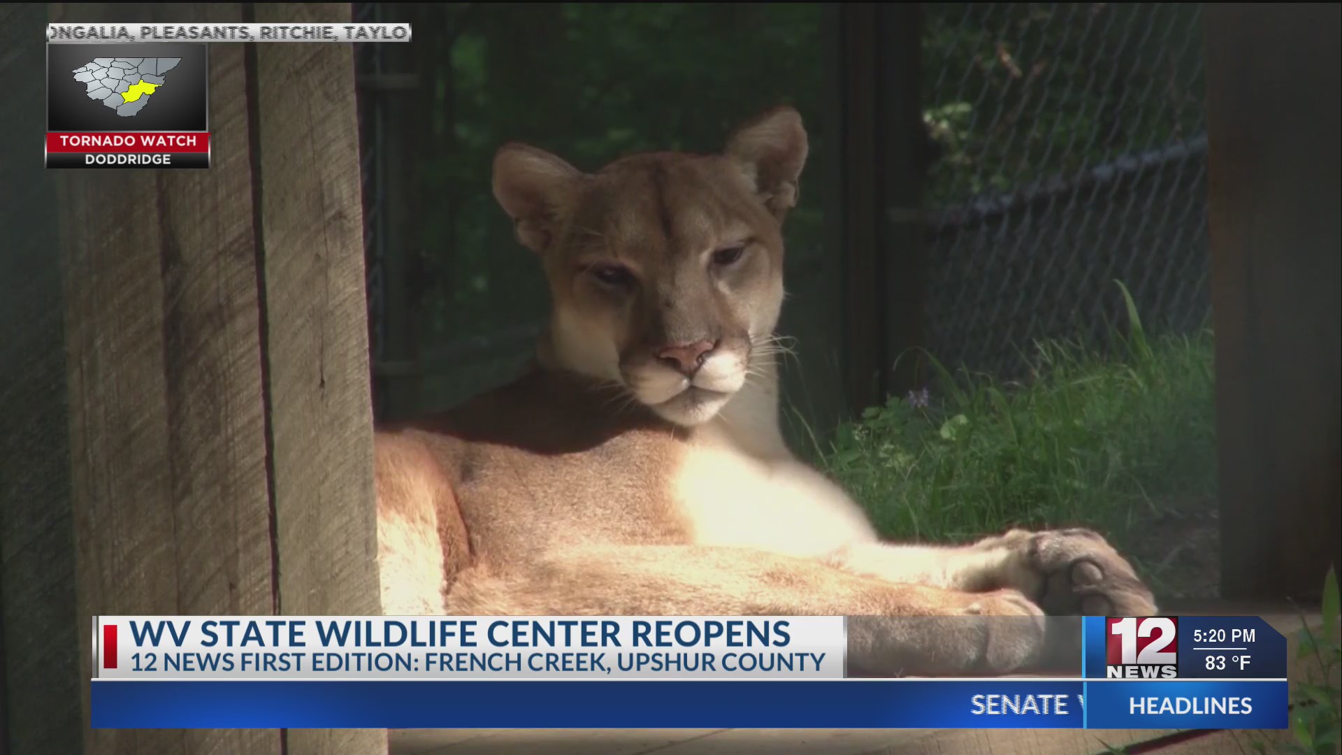 West Virginia State Wildlife Center reopens – WBOY.com