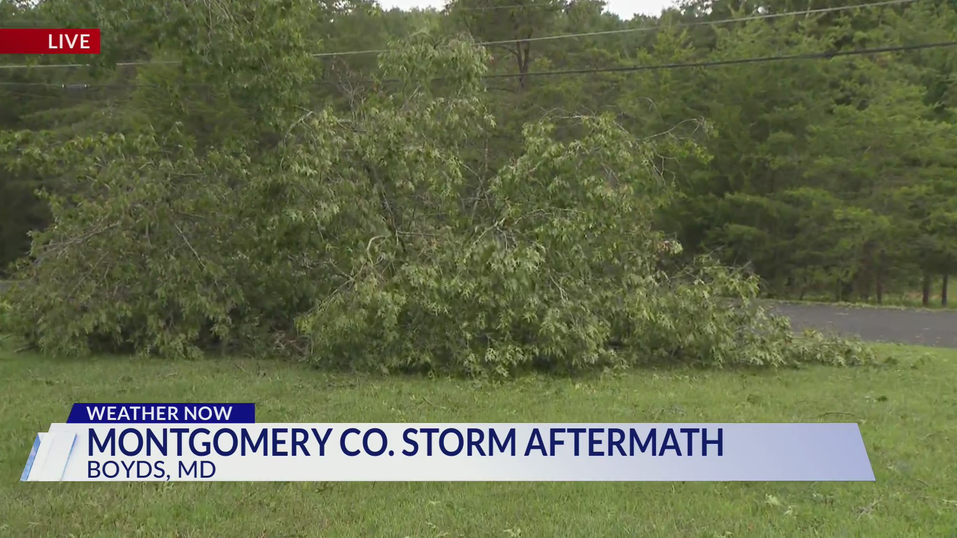 Storm leaves damage around Montgomery County – DC News Now | DC ...