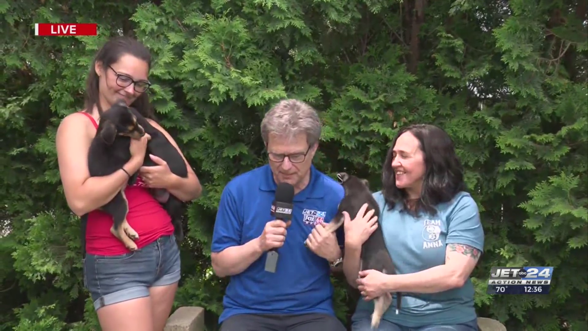 Friday is Founder’s Day at JET 24 benefitting the ANNA Shelter – WJET ...