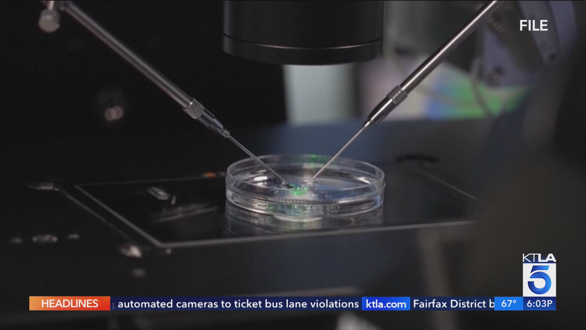IVF patients react to Palm Springs bombing – KTLA