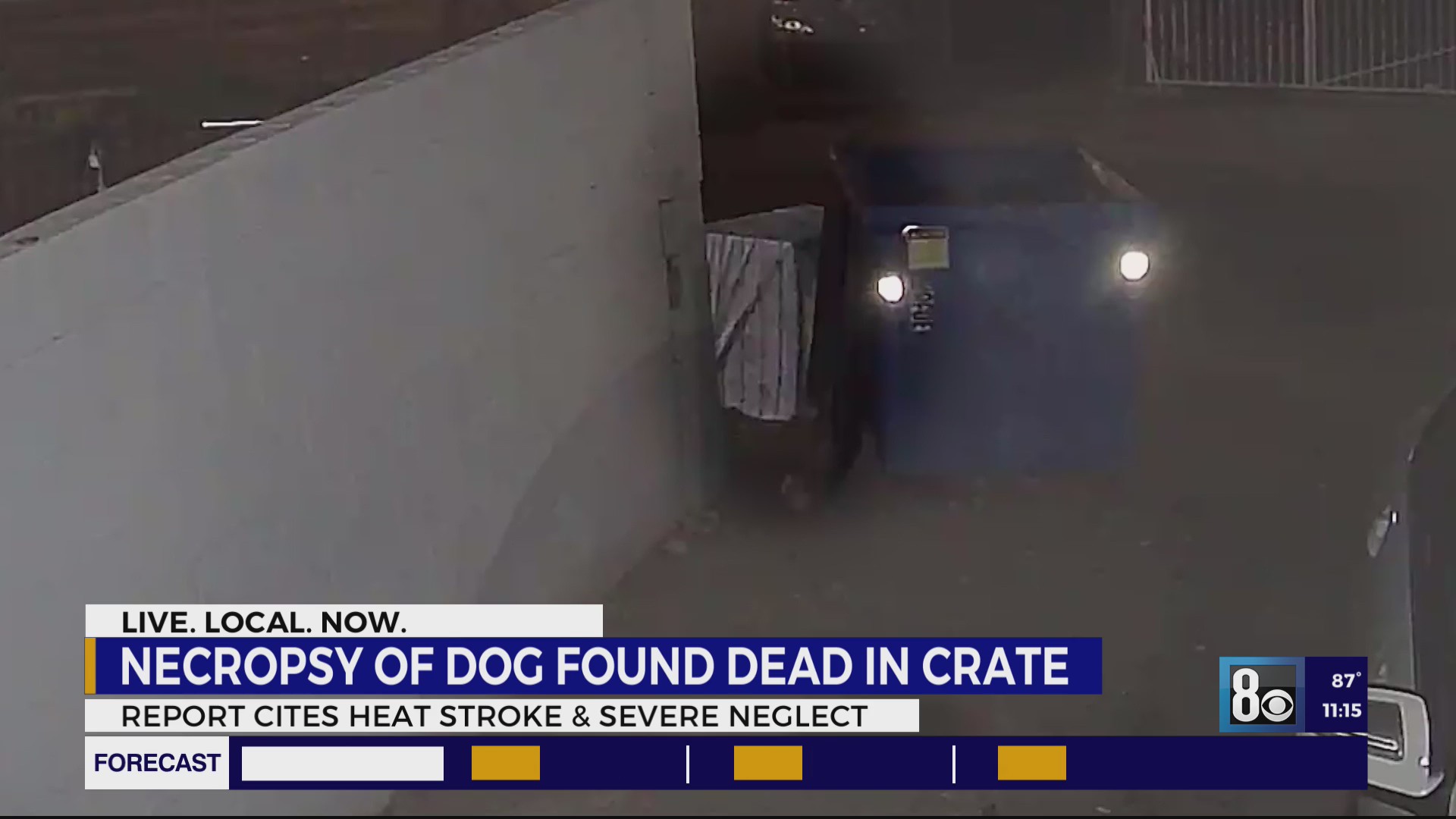Necropsy on Las Vegas dog found dead in wire crate points to heat ...