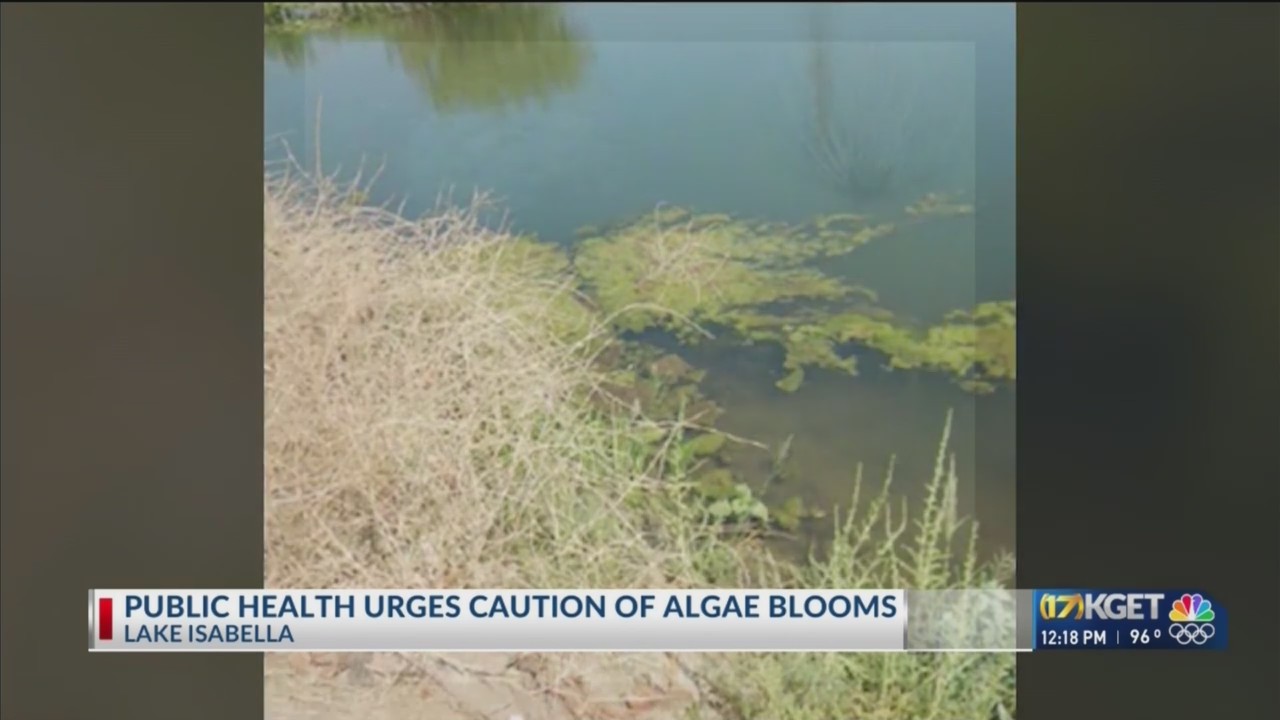 Kern County Public Health urges caution of algae blooms in Lake ...