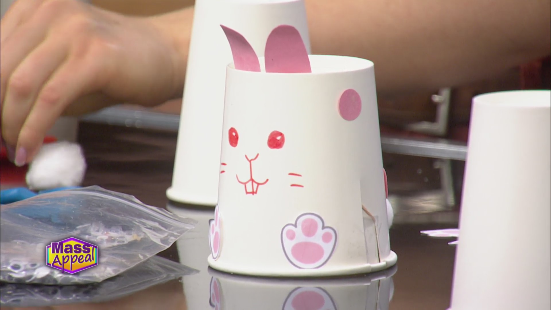 Mass Appeal Newton’s Bunnies teach kids about motion – WWLP