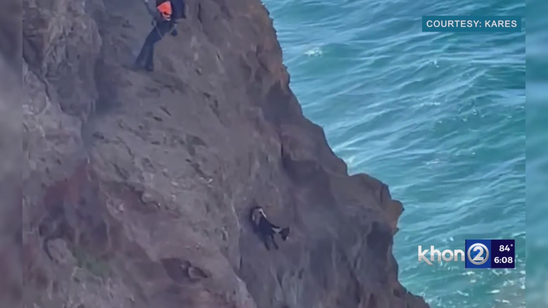 Hanging in there: Goat resists capture on 120-foot cliff – KHON2