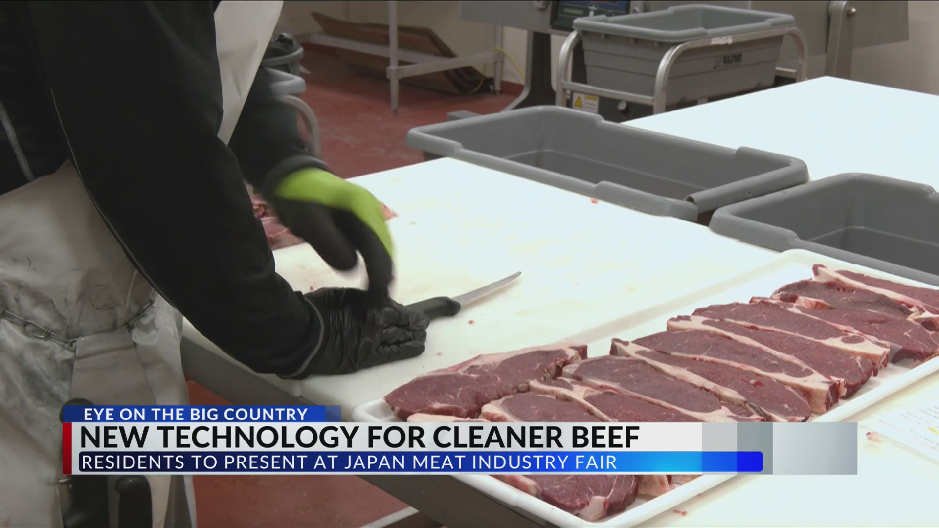 Baird’s NSC Beef to showcase spinal cord-free processing tech at global ...