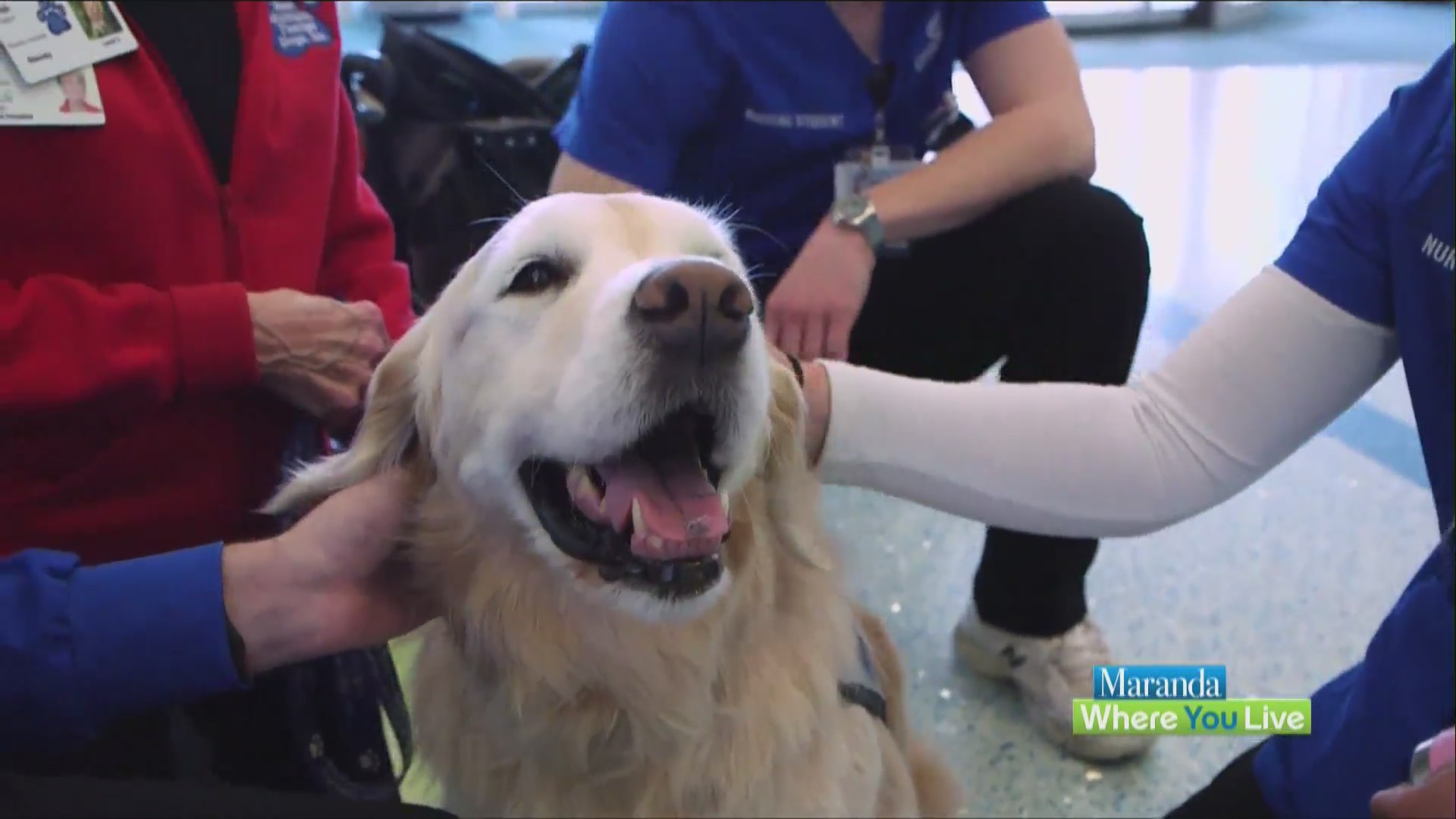 Meet the healing heroes with tails at Corewell Health Helen DeVos ...