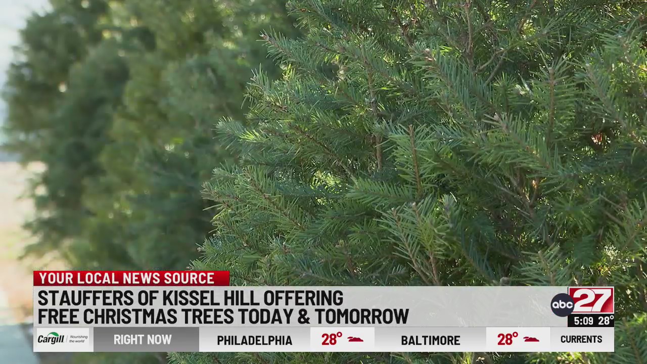 Stauffers of Kissel Hill offering free Christmas trees – PAhomepage.com