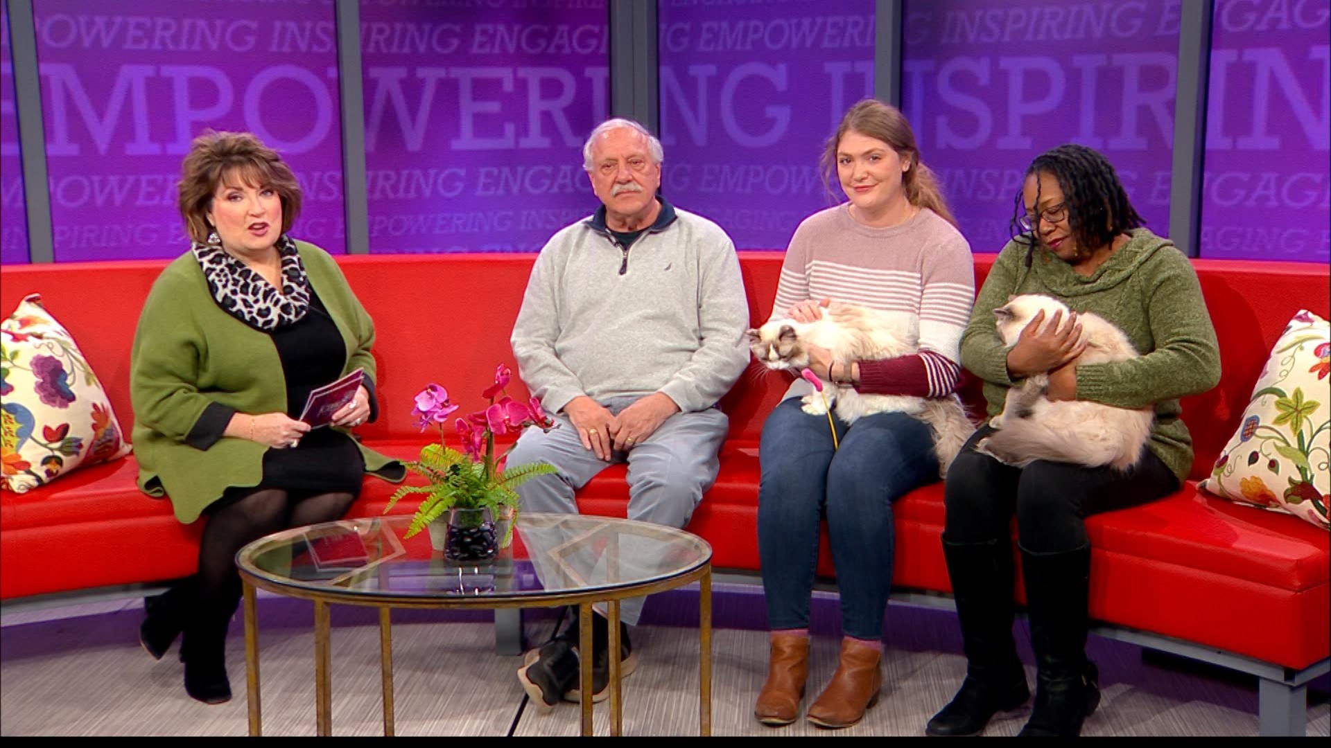 JENNIE: Cattyshack Cats Club “Fairy Tales” Show – WJBF