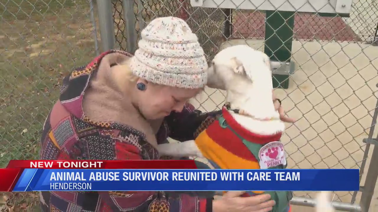 Animal abuse survivor with Henderson ties reunited with care team four ...