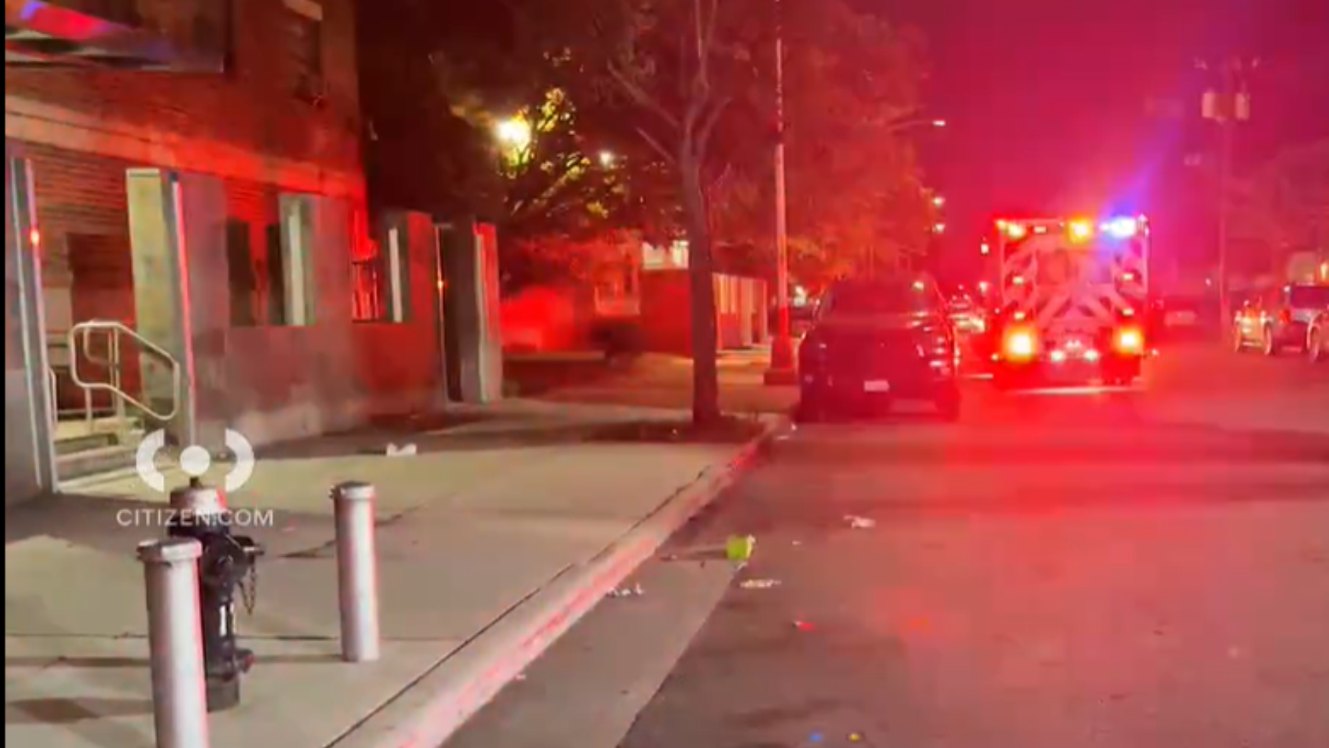 Homeless man shot 2x in head in NYCHA complex: sources – PIX11