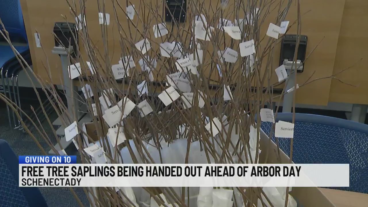 Free tree saplings handed out ahead of Arbor Day – NEWS10 ABC