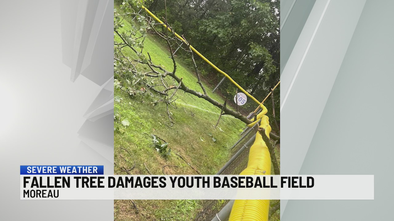 Fallen trees damage youth baseball field – NEWS10 ABC