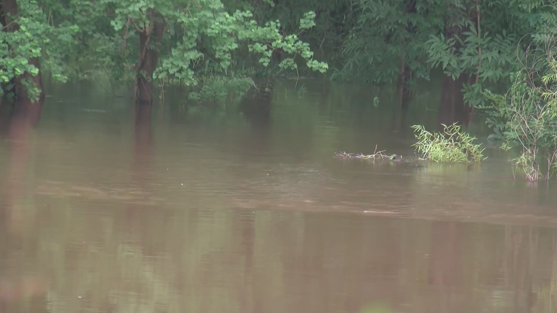 Kinston city officials preparing for flooding post Debby – WNCT