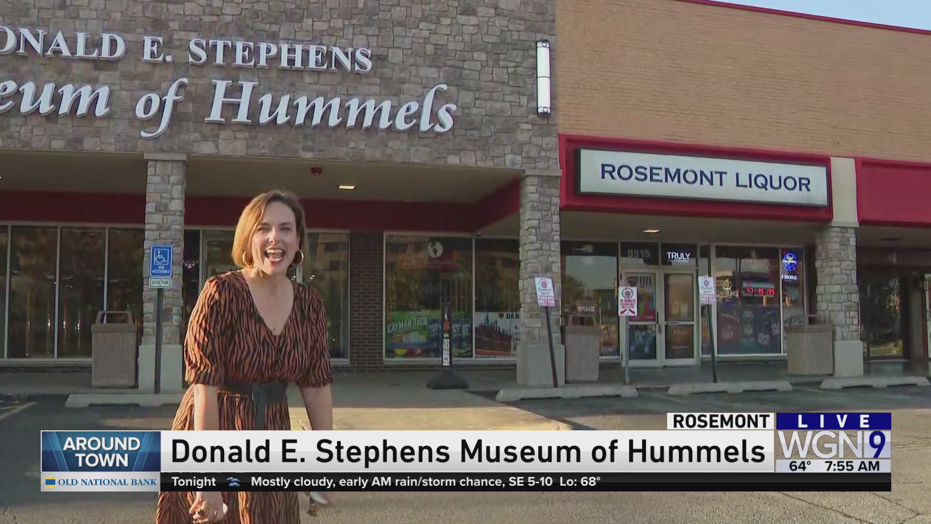 Around Town – Donald E. Stephens Museum of Hummels – WGN-TV