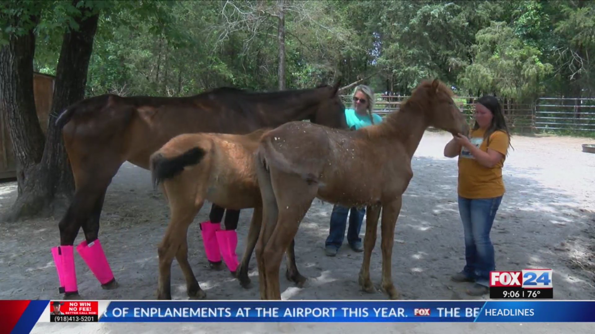 Horse rescue organization reclaims neglected horses – KNWA FOX24
