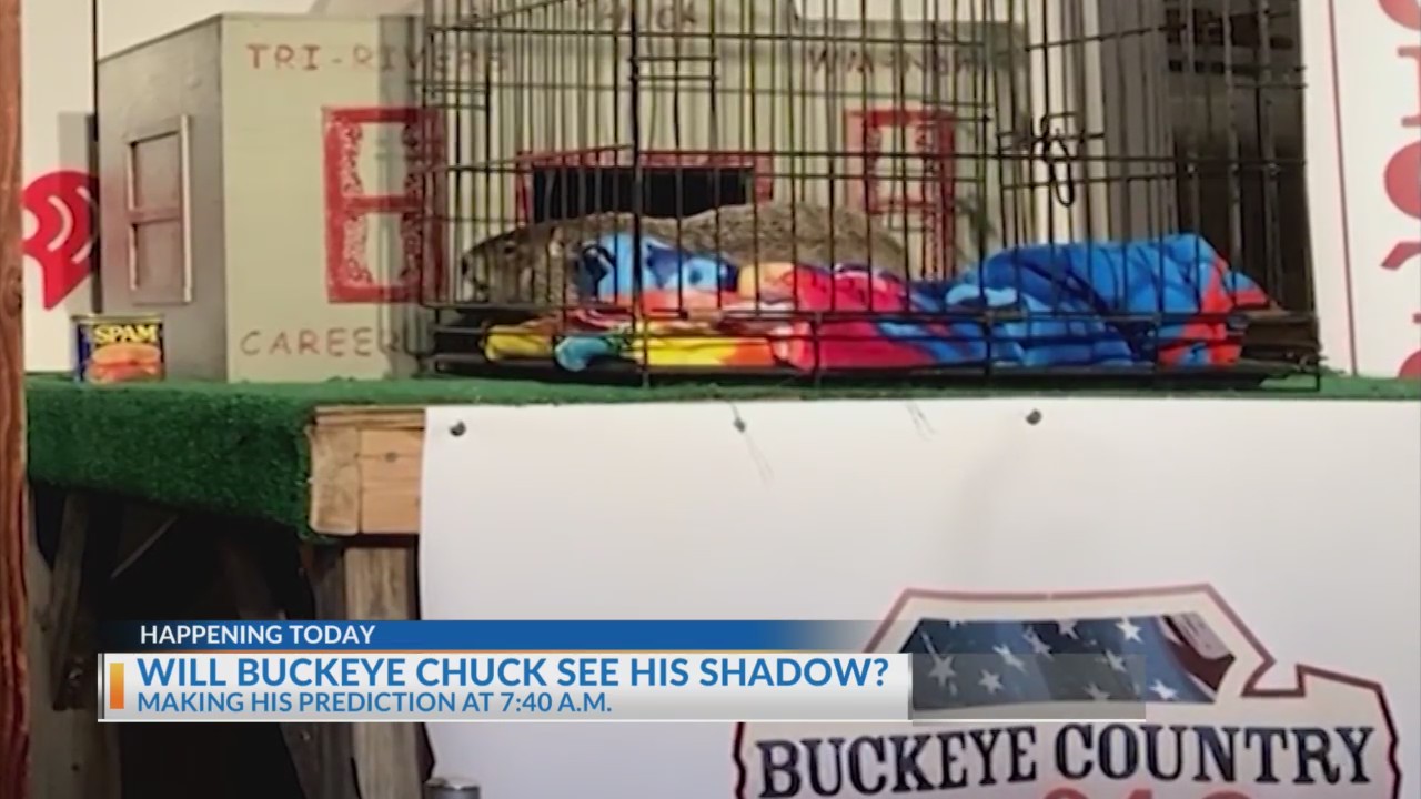 Will Buckeye Chuck see his shadow? – NBC4 WCMH-TV