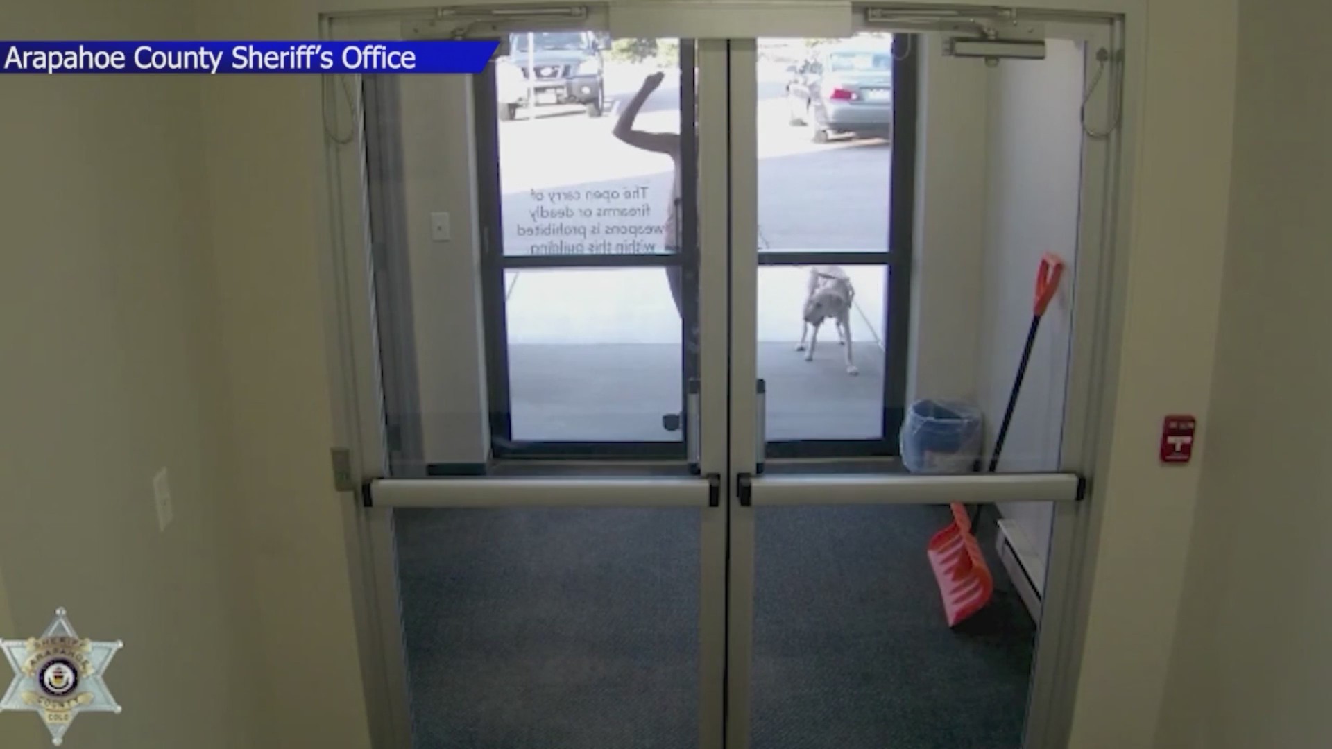 Woman causes thousands in damages to Centennial animal shelter – FOX31 ...
