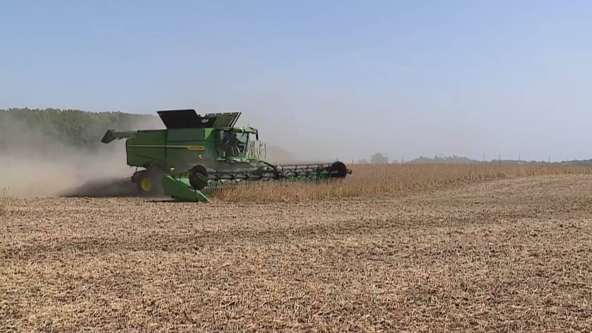 Farmers filing for bankruptcy as inflation hits seed prices ...