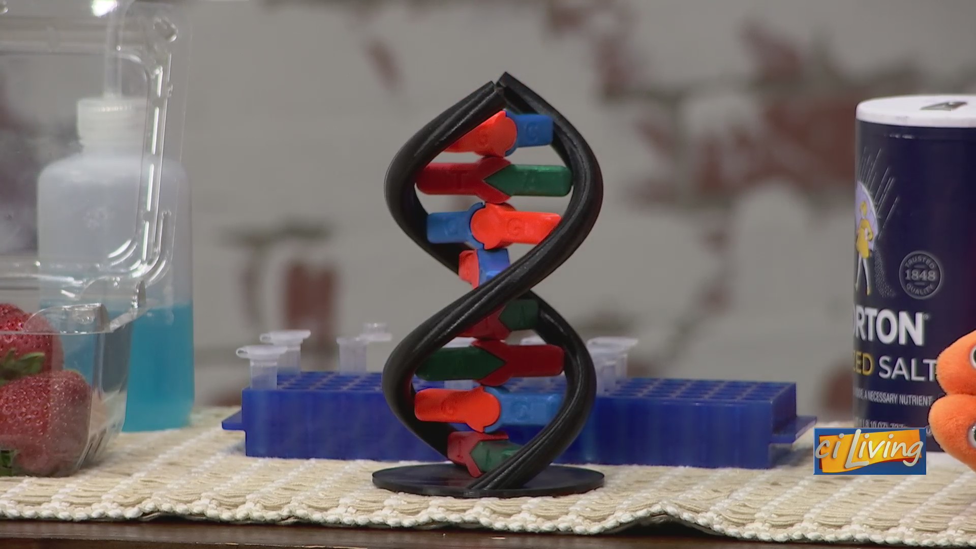How to Extract DNA from a Strawberry | Simple Science Experiment – WCIA.com