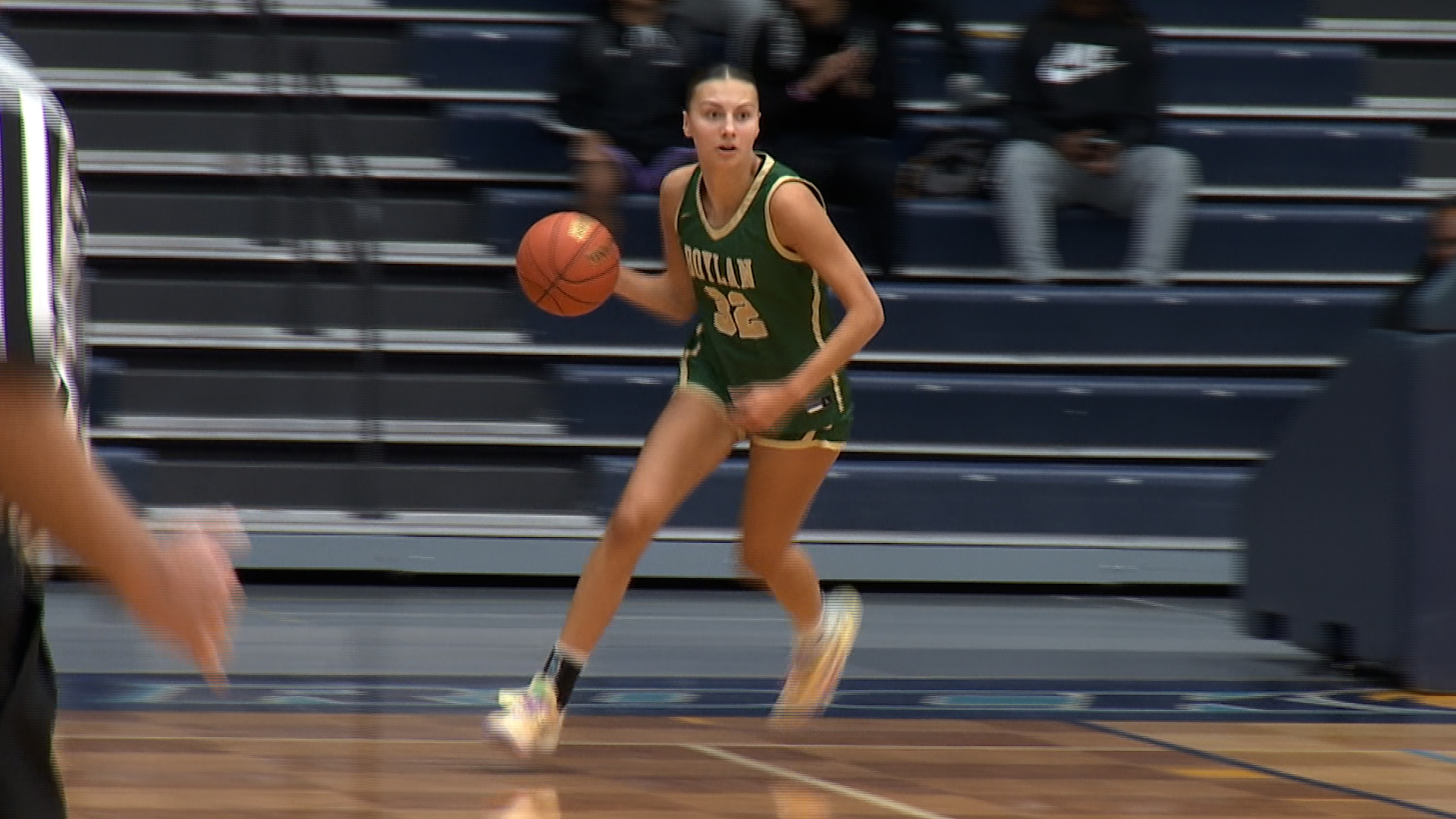 Boylan’s Lily Esparza grabs MVP honors as NIC-10 girls win all-star ...