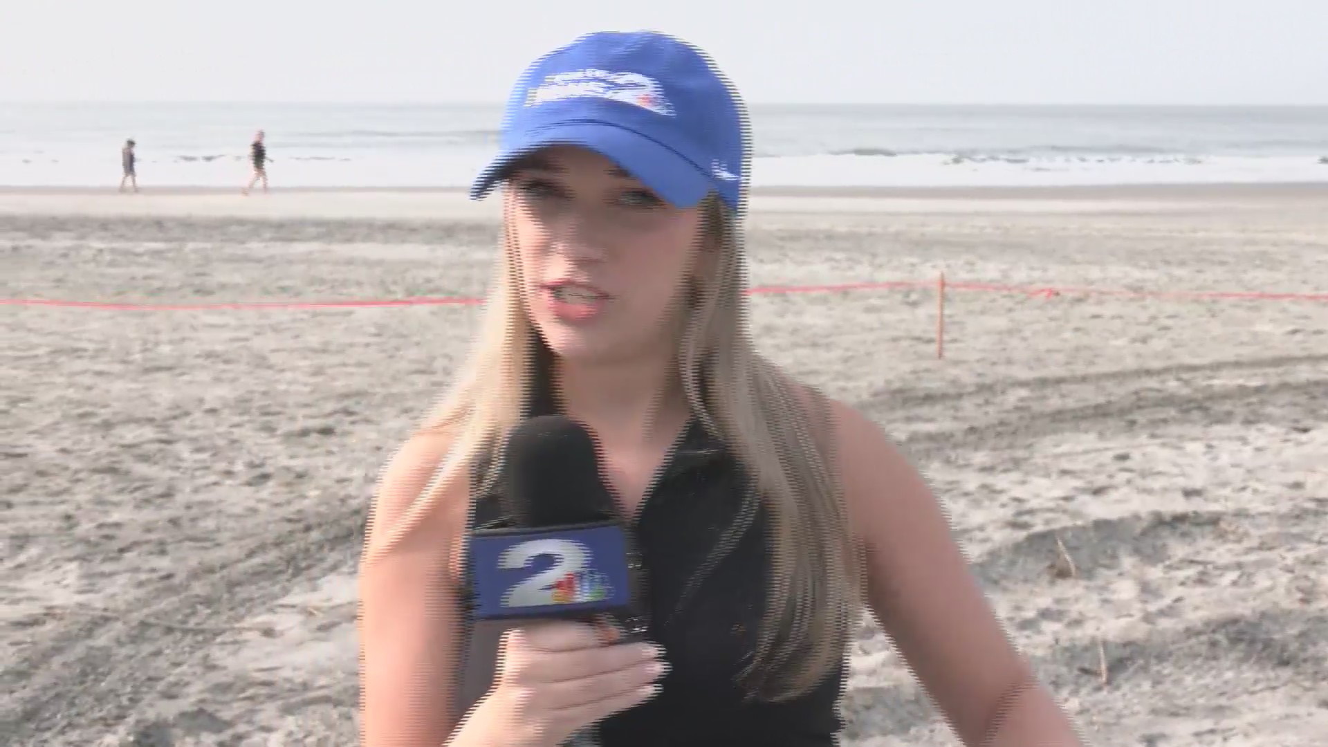 Charleston Fossil Adventures on Folly Beach – WCBD News 2