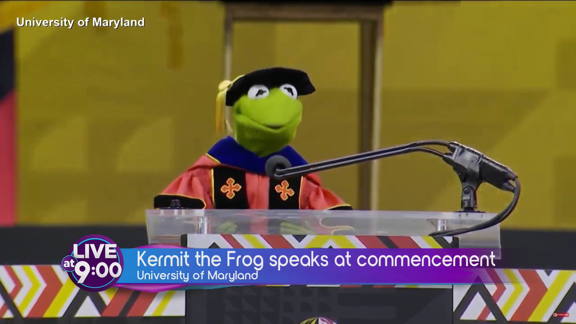 The Penny’s Exit, A Heroic Lizard, and Kermit’s Graduation Advice ...