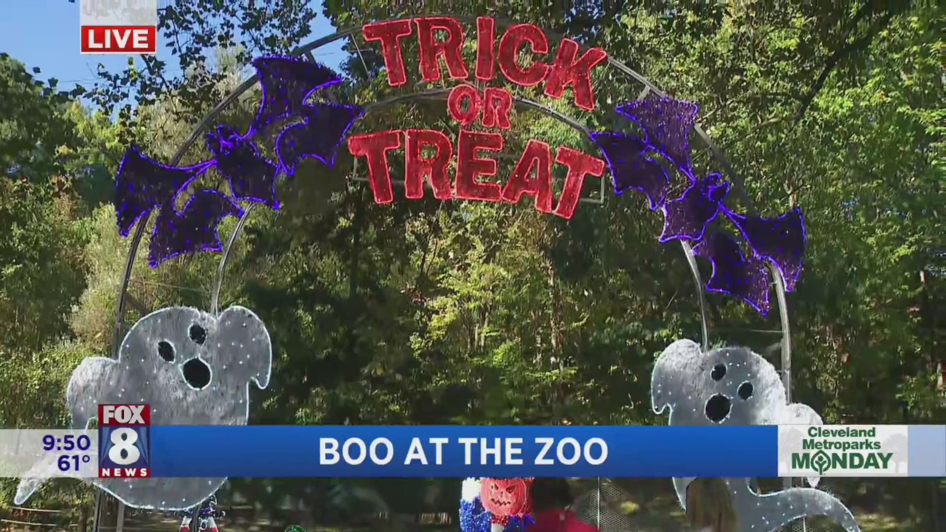 Cleveland Metroparks Monday: Boo at the Zoo – Fox 8 Cleveland WJW