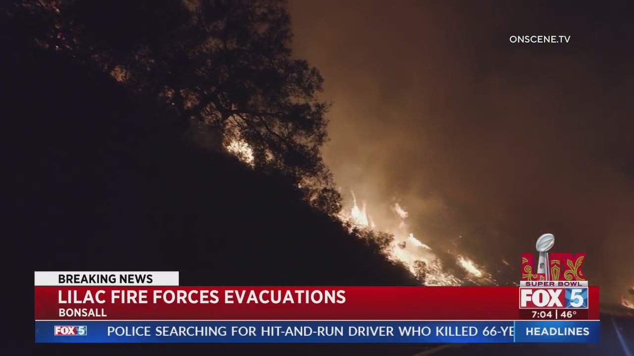 Lilac Fire forces evacuations in North County – FOX 5 San Diego & KUSI News
