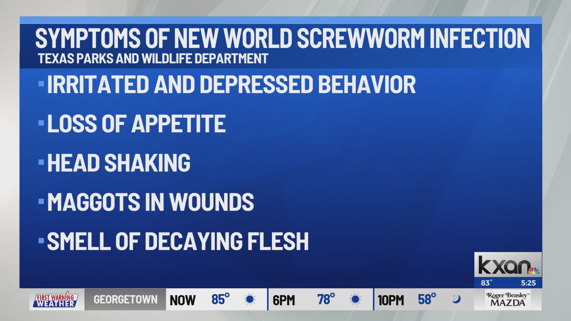 Texas warns of New World Screwworms seen in Mexico – FOX 2