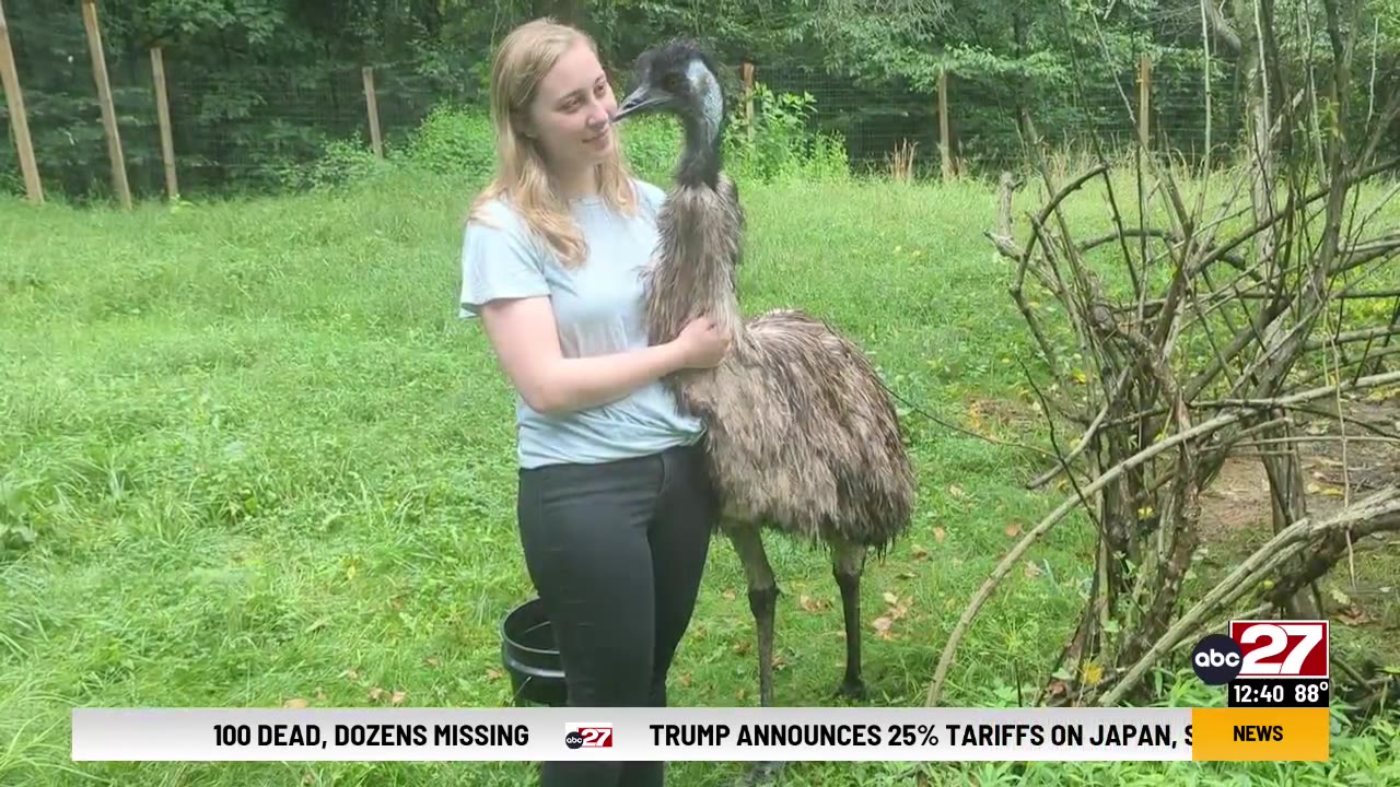 Remember the Perry County emu? Here’s what he’s doing now – ABC27