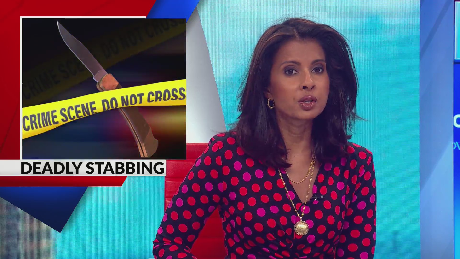 Deadly Stabbing Investigation Underway in South St. Louis – FOX 2