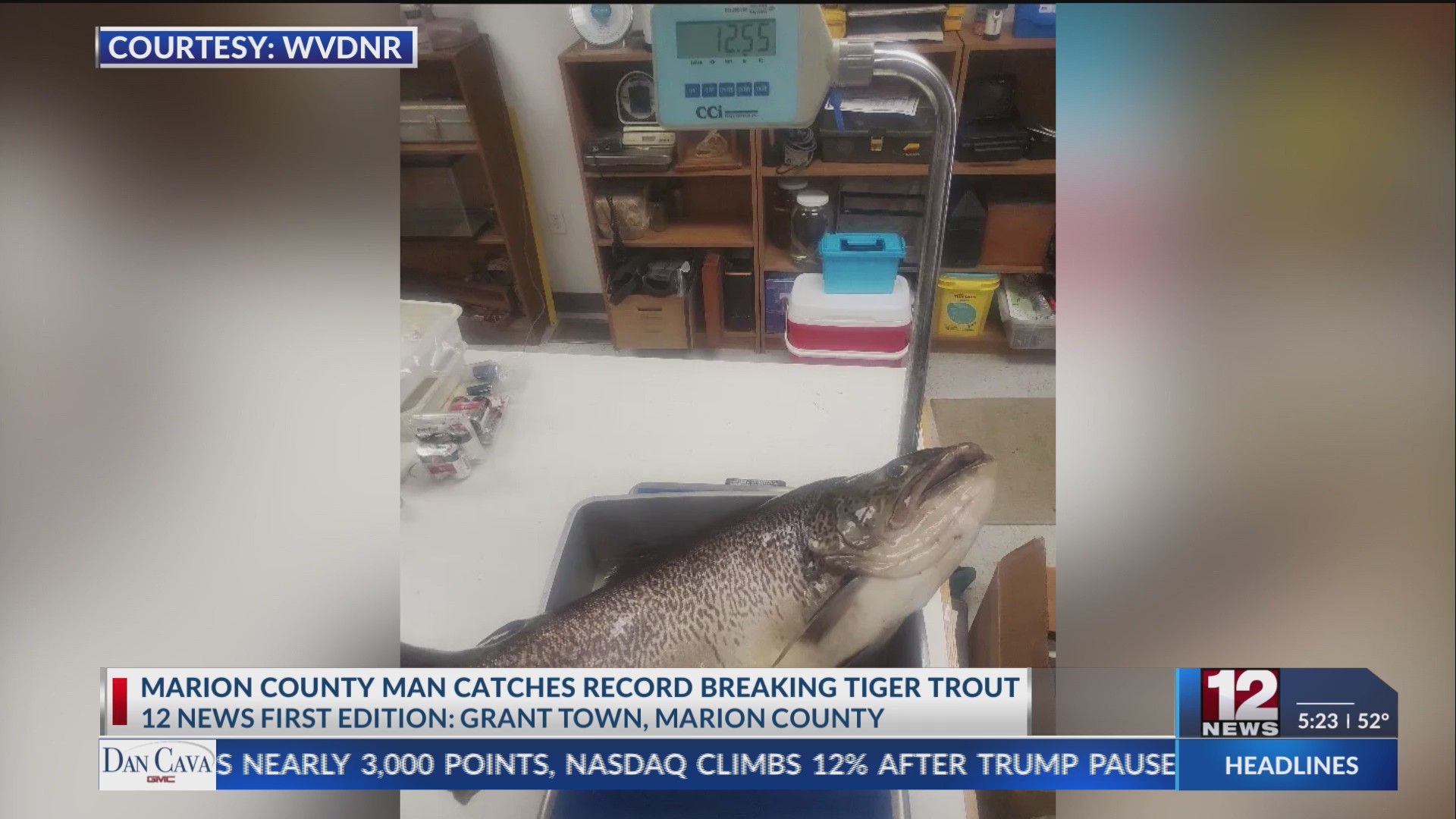 Record breaking tiger trout caught in Marion County, WV – WBOY.com