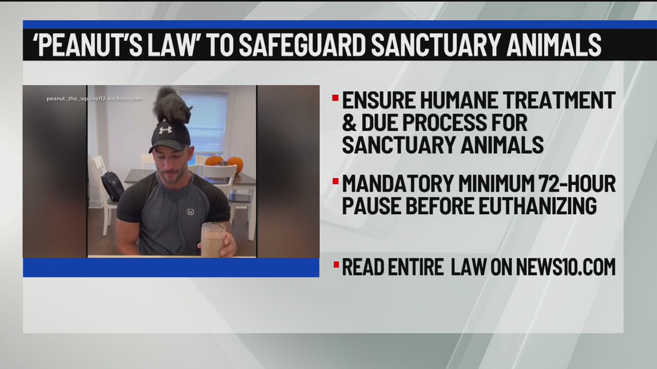 “Peanut’s Law” to safeguard sanctuary animals – NEWS10 ABC