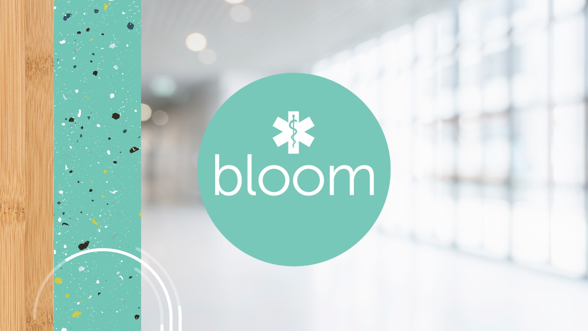 BLOOM November 5 2024 – WFLA
